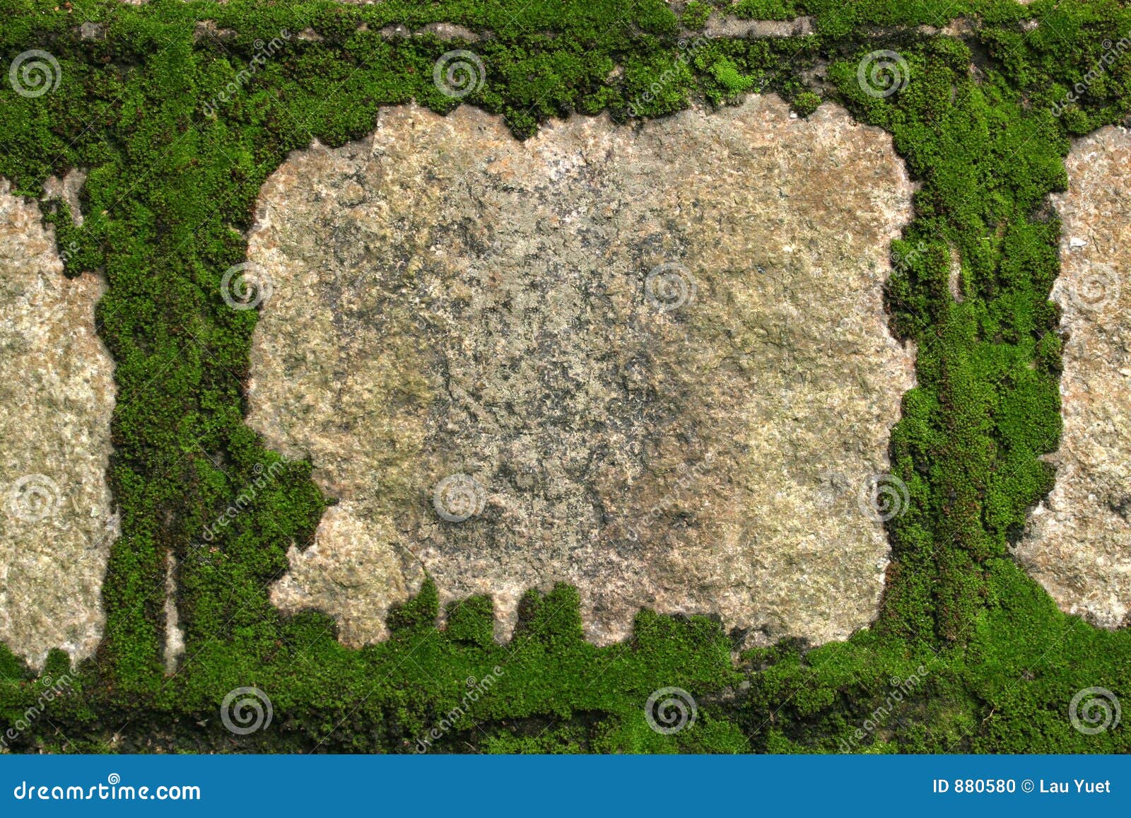 Frame stock photo. Image of vegetation, square, algae, rock - 880580