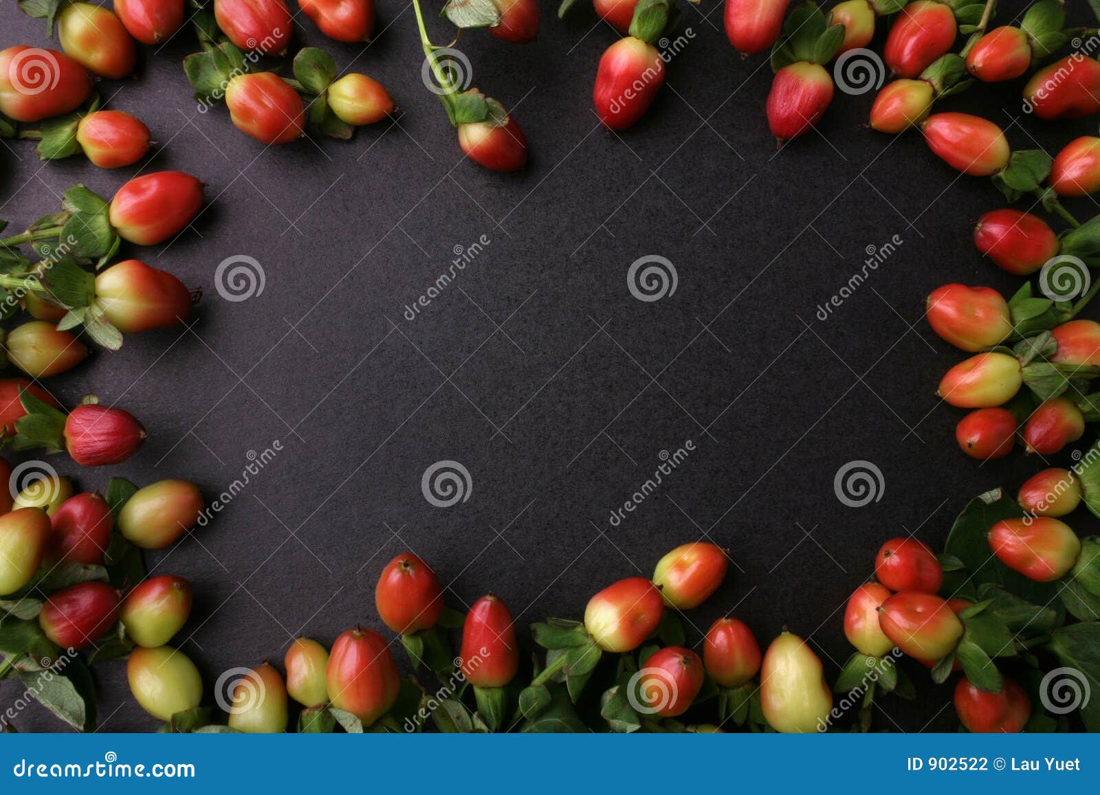 Frame stock photo. Image of fruit, chillies, decoration - 902522