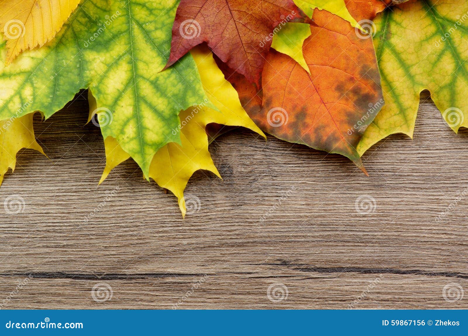 Frame of Autumn Leafs stock photo. Image of horizontal - 59867156