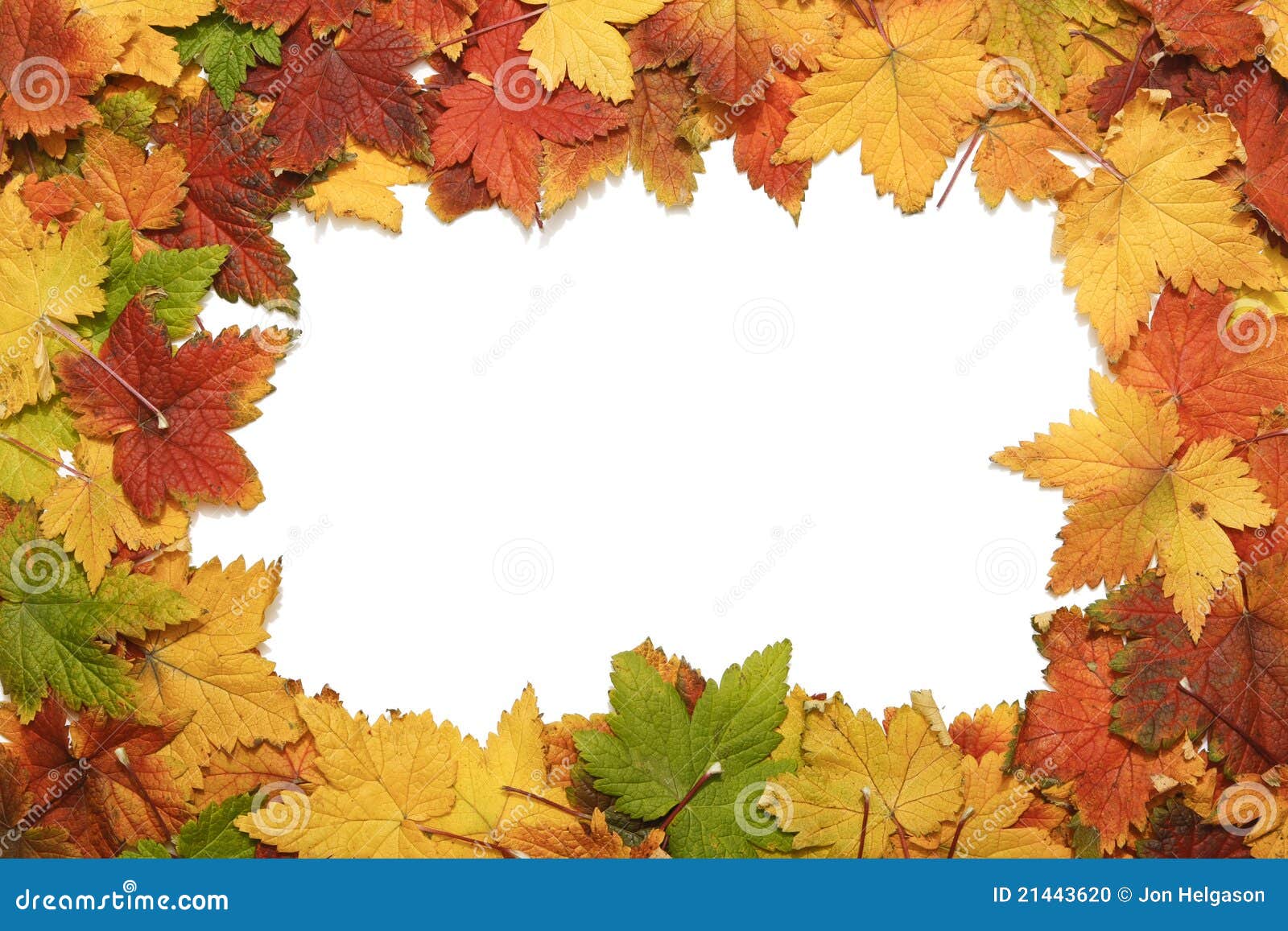 Frame of autumn leaves stock photo. Image of background - 21443620