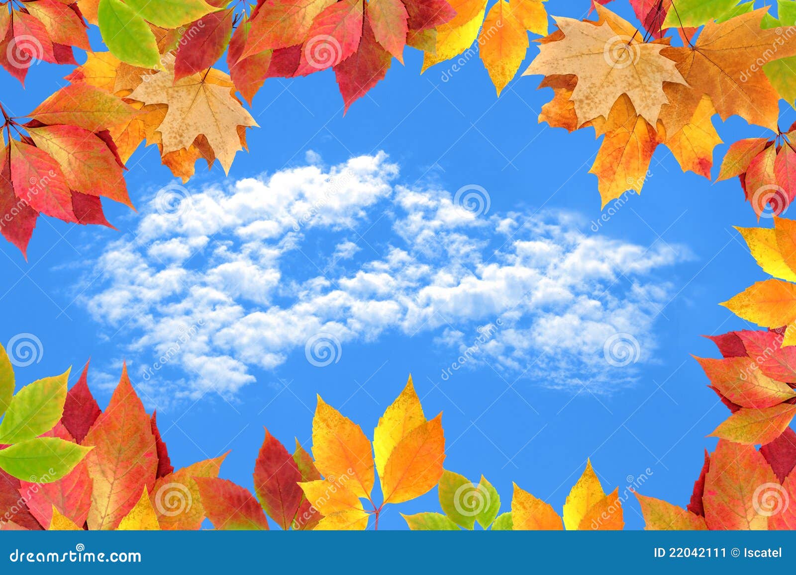 Frame autumn leaves stock image. Image of forest, decorative - 22042111