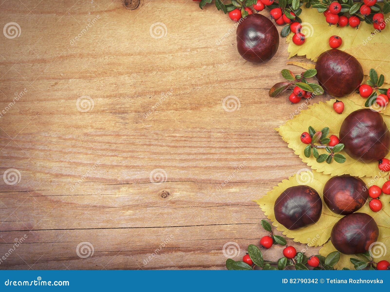 Frame with Autumn Leaves and Chestnuts. Stock Photo - Image of maple ...