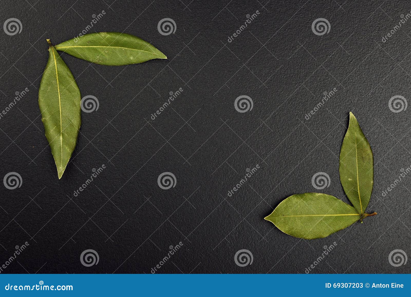 Frame of Bay Leaves on Black Chalkboard Stock Image - Image of board ...