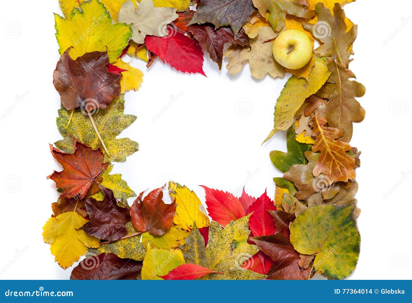 Frame of Beautiful Autumn Fallen Leaves. in Corner of Apple Stock ...