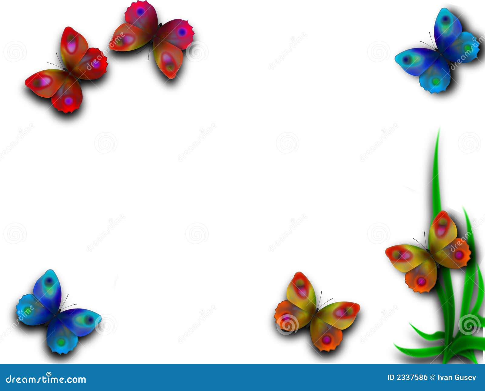 Beautiful Butterflies Borders And Frames