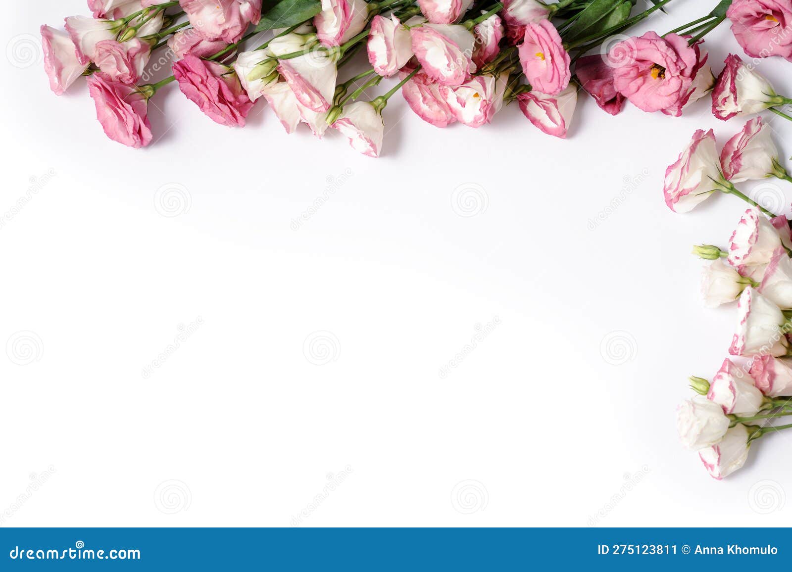 Frame of beautiful flowers stock image. Image of freshness - 275123811
