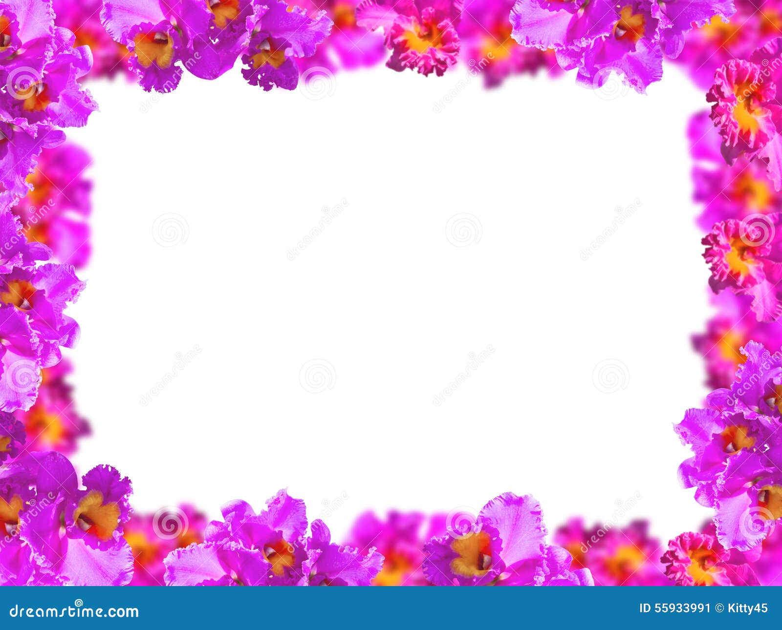 Frame of Beauty Pink Orchids Stock Image - Image of pattern, natural ...
