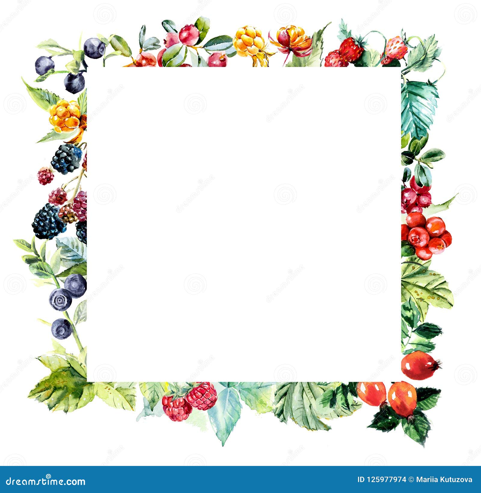 Frame from Berries. Watercolor Hand Drawn Illustration Stock ...