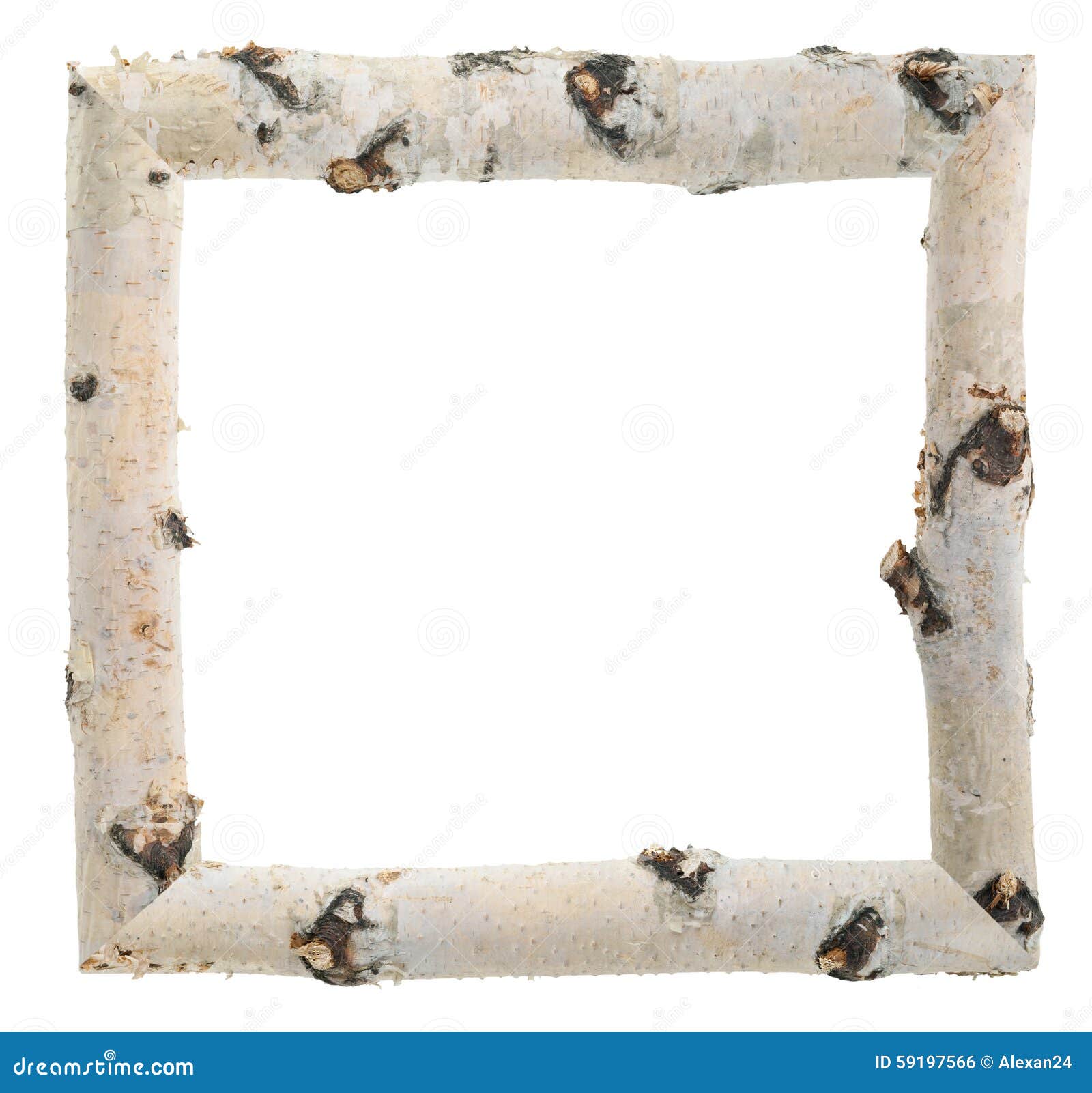 White Birch Wood Frames