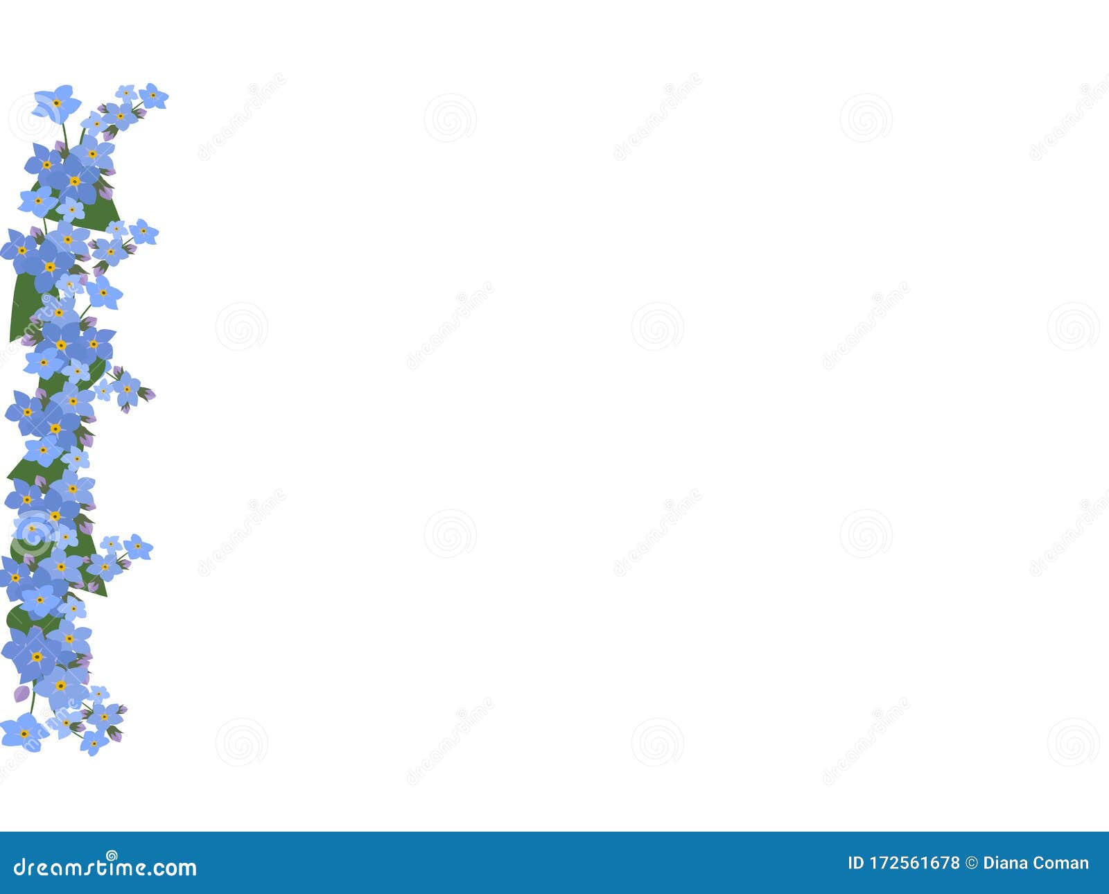 Frame of Blue Flowers - Forget Me Not Flowers Frame Stock Photo ...