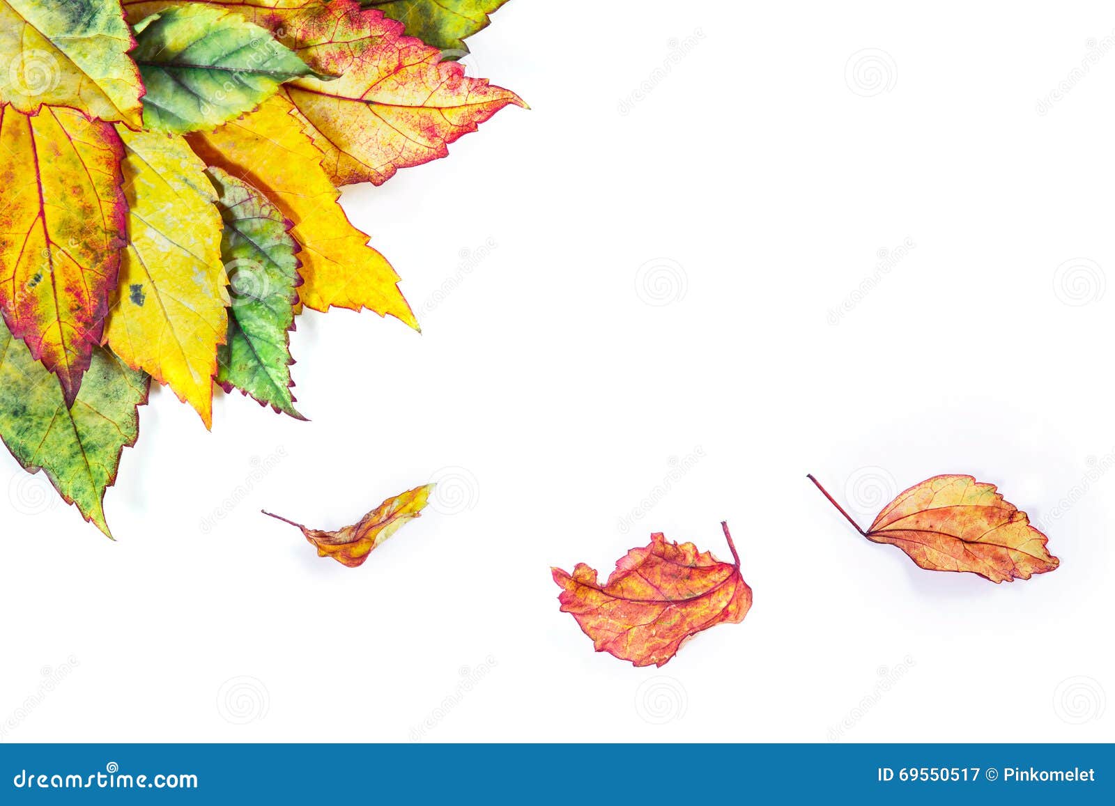 Frame Border from Beautiful Fallen Autumn Leaves on White Backg Stock ...