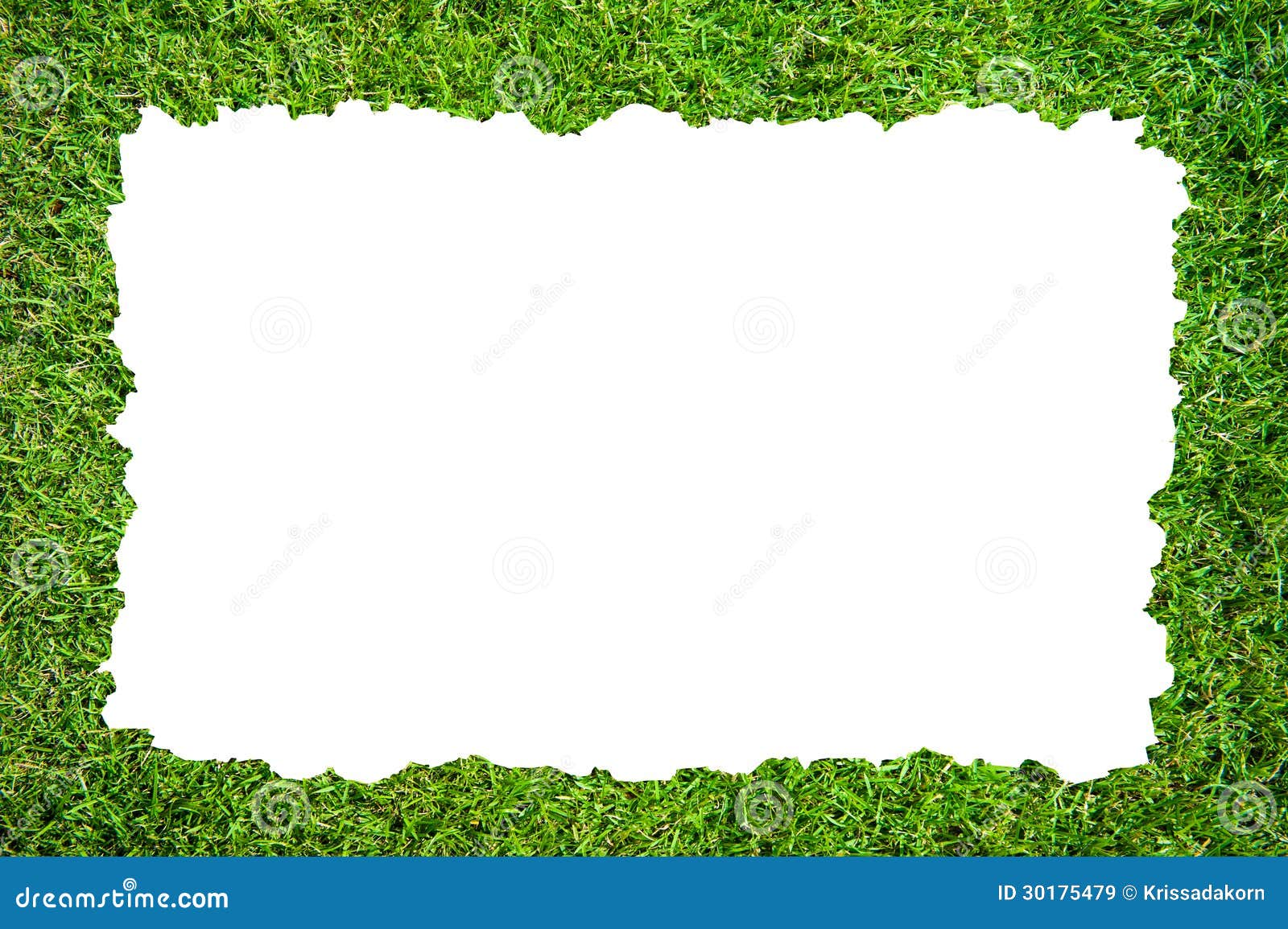 Grass frame stock image. Image of frame, white, view - 30175479