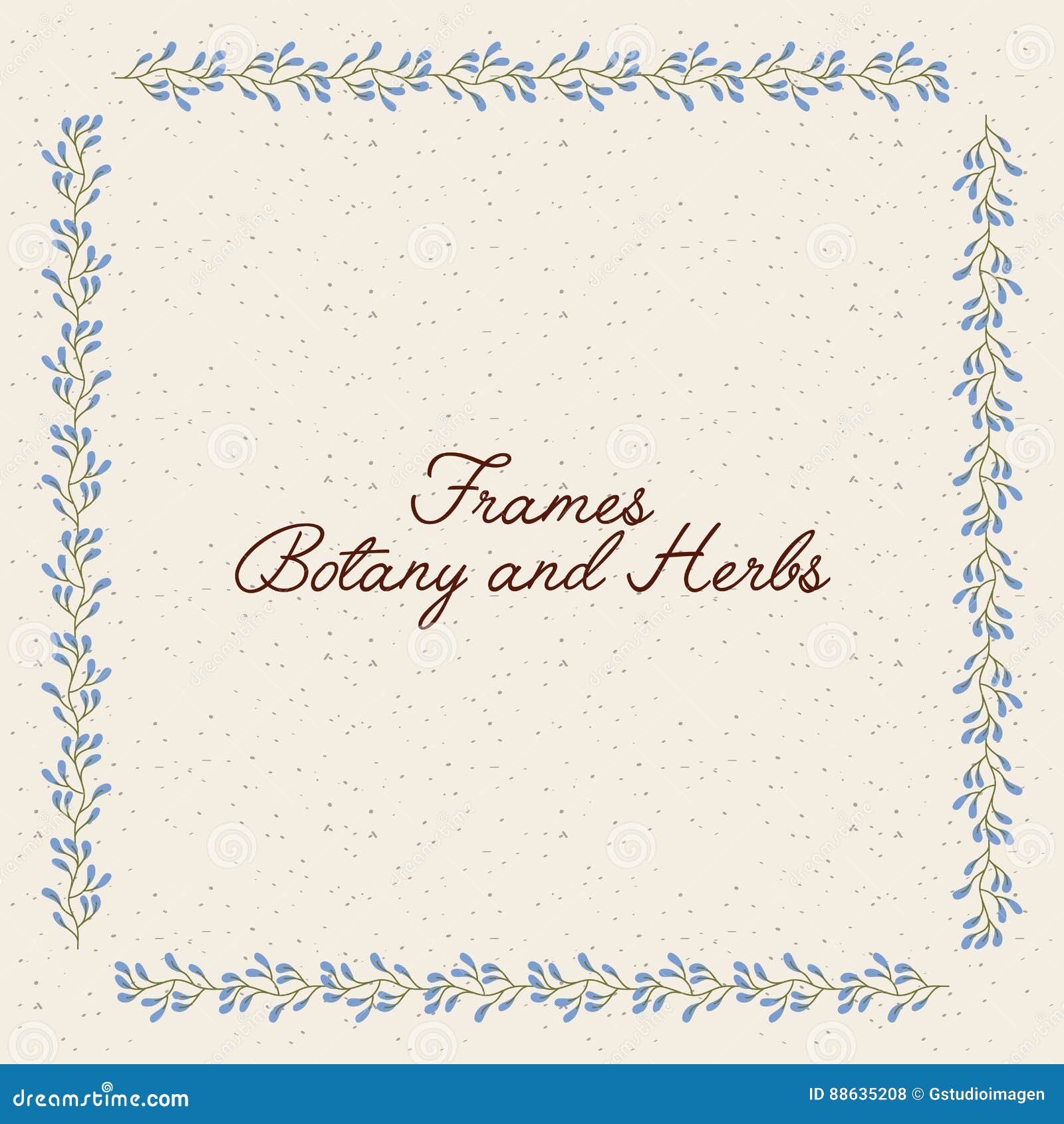 Frame Botany and Herbs Design Stock Vector - Illustration of herbal ...