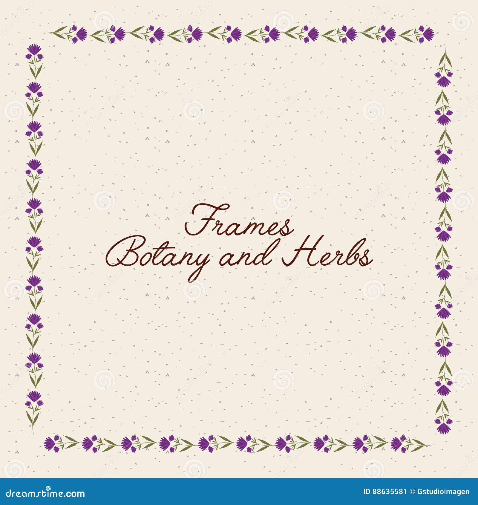 Frame Botany and Herbs Design Stock Vector - Illustration of nature ...