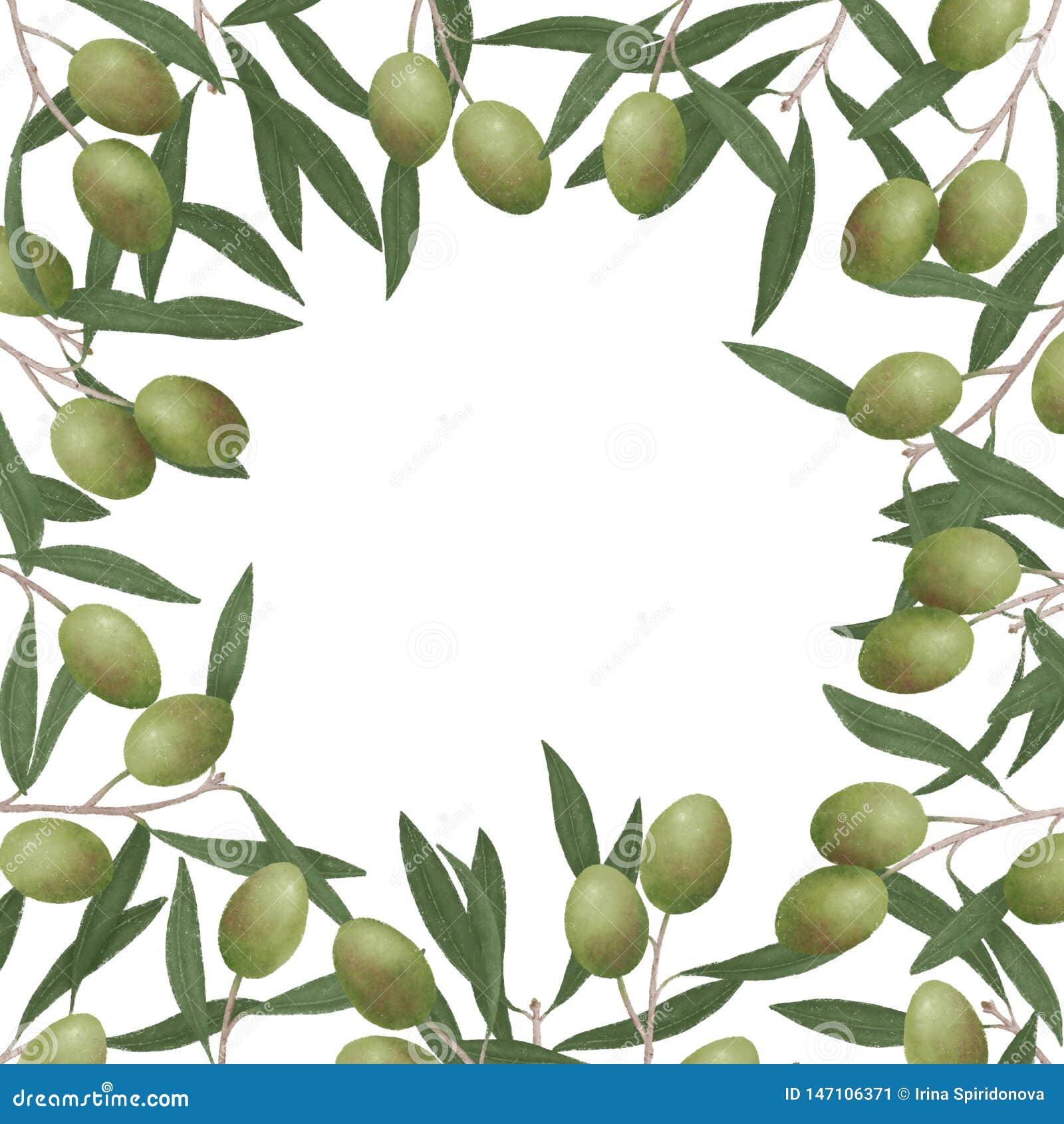 The Frame of the Branches of the Olive Tree Stock Illustration ...