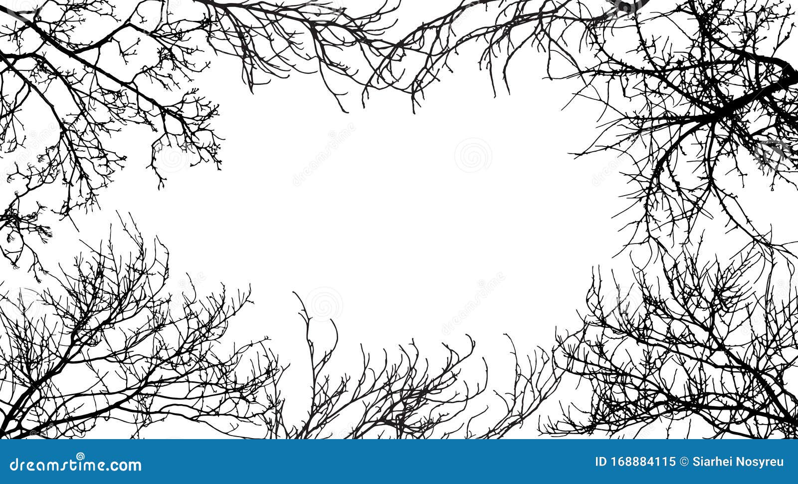 Frame from Branches Tree, Silhouette of Branches Different Trees ...