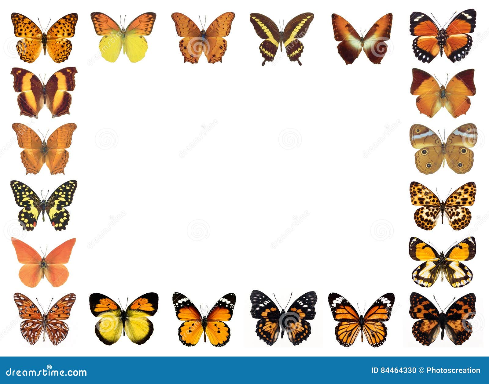 Frame Of Butterflies With Copy Space On Blue Gradient Background ...