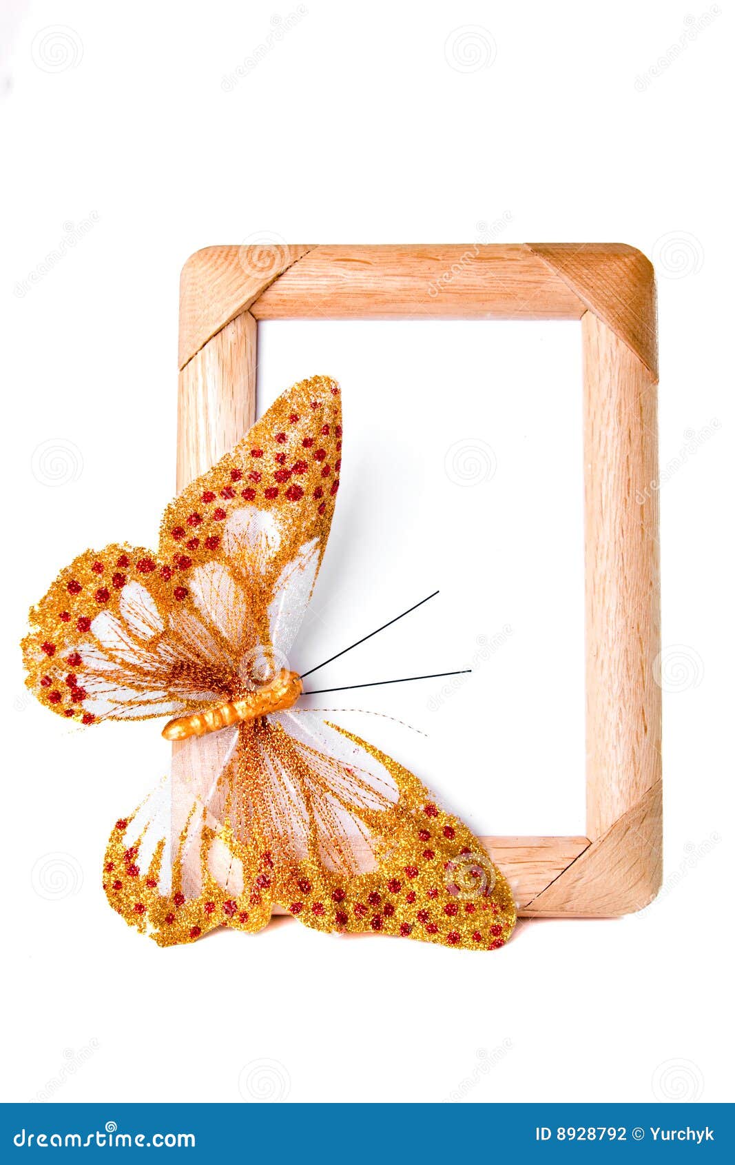 Frame with butterfly stock photo. Image of space, framework - 8928792