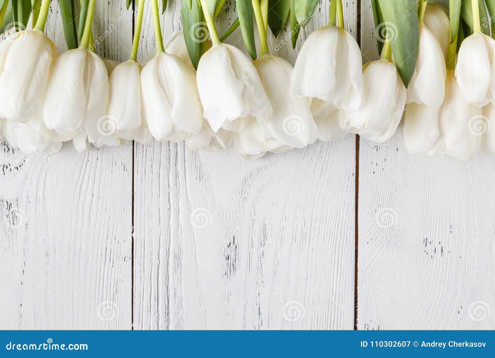 Frame for Card with Natural White Tulips Stock Image - Image of card ...