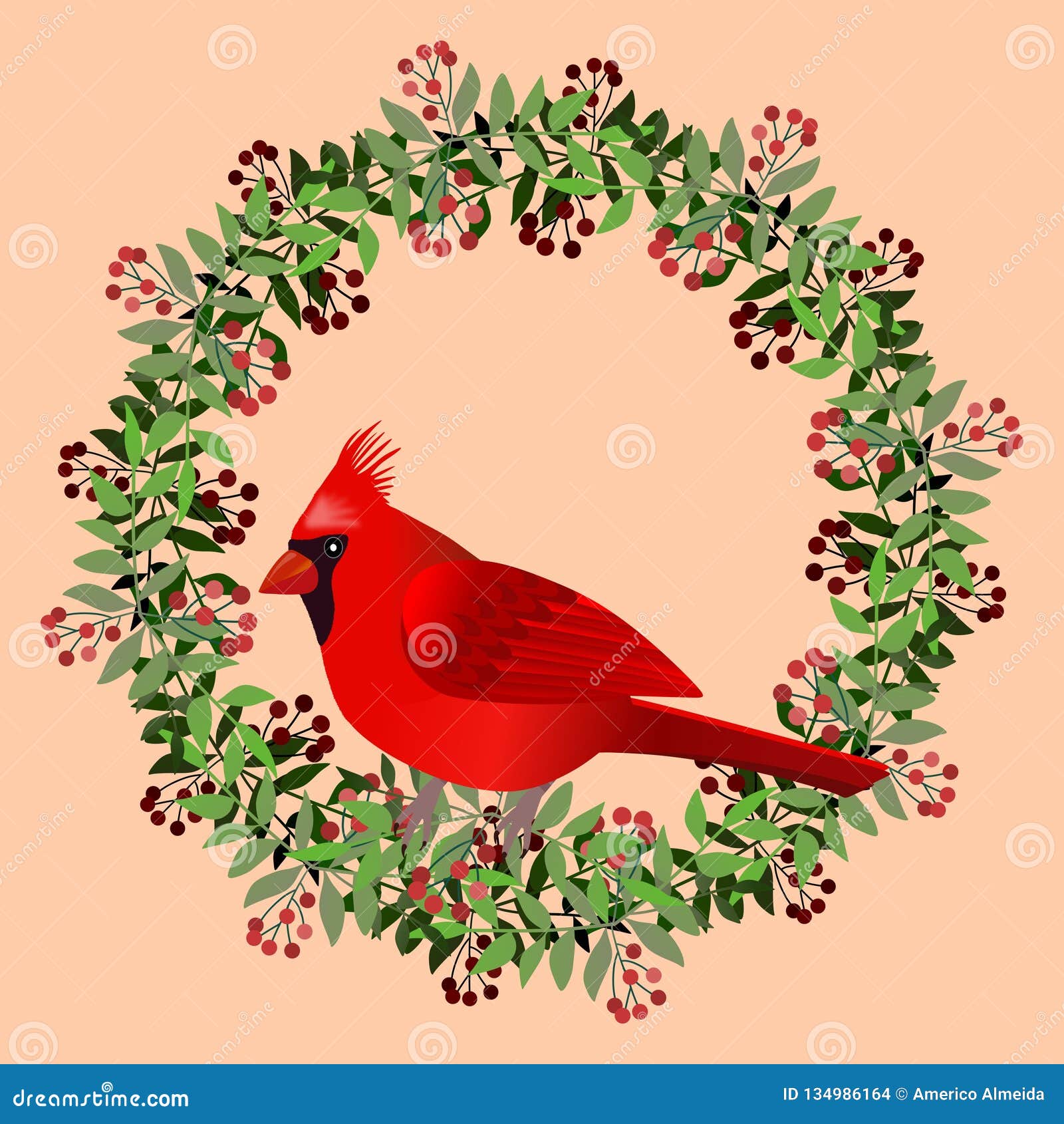 Frame with Cardinal Bird on Branches with Berries. Illustration Stock ...