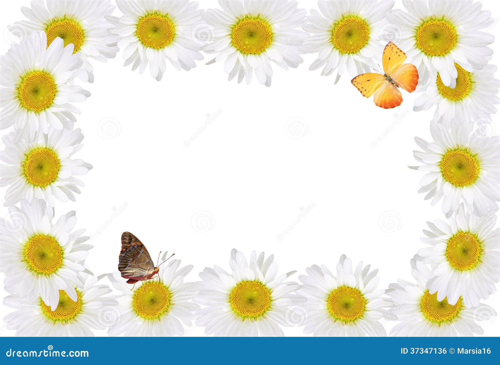 Simple Butterfly Border Photos - Free & Royalty-Free Stock Photos from ...