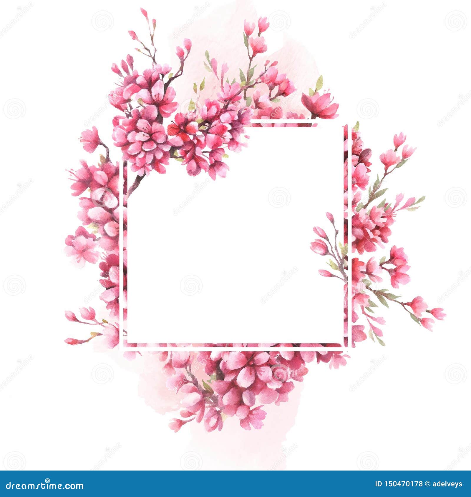 Frame with the Cherry Blossoms. Watercolor Illustration. Stock ...