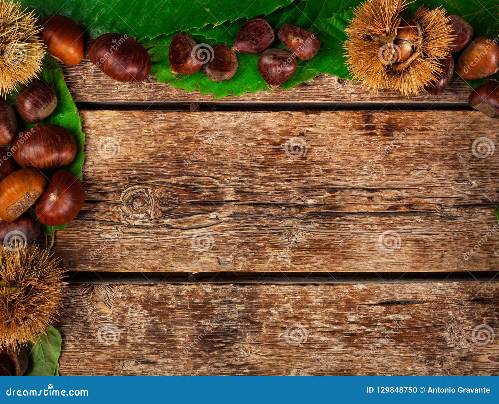Frame of Chestnuts, Leaves and Chestnut Bur. Stock Photo - Image of ...