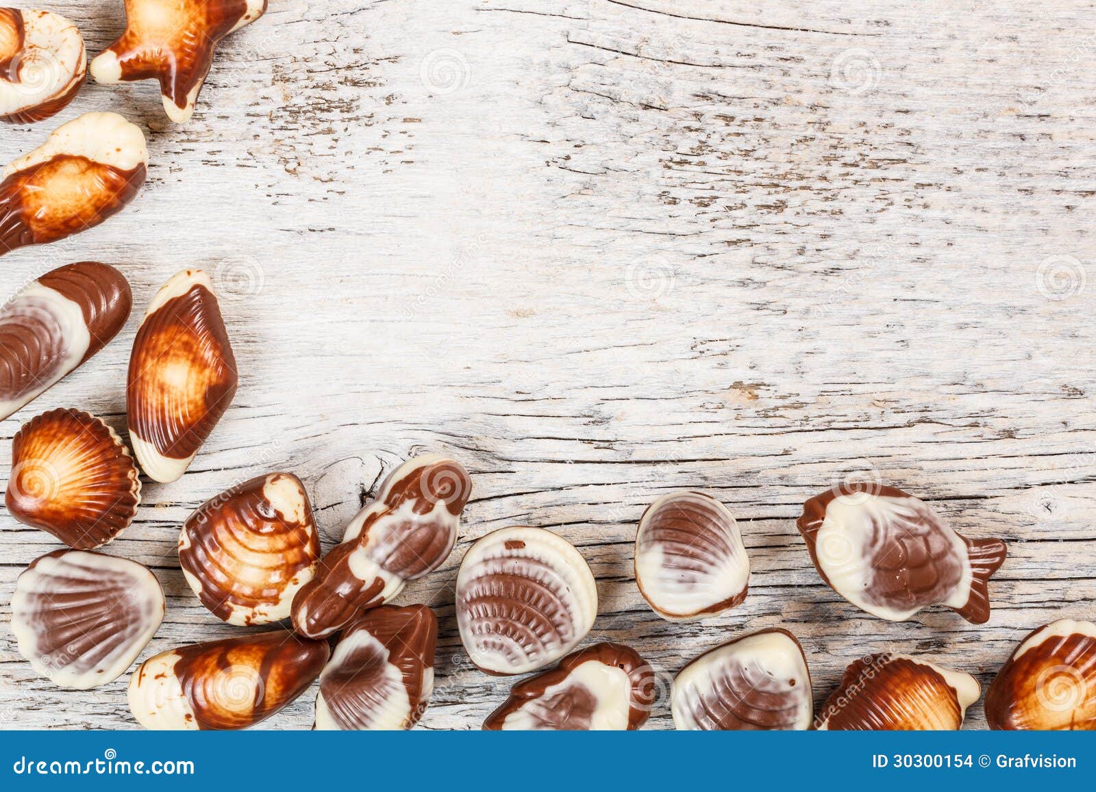 Chocolate seashell candies stock photo. Image of shell - 30300154