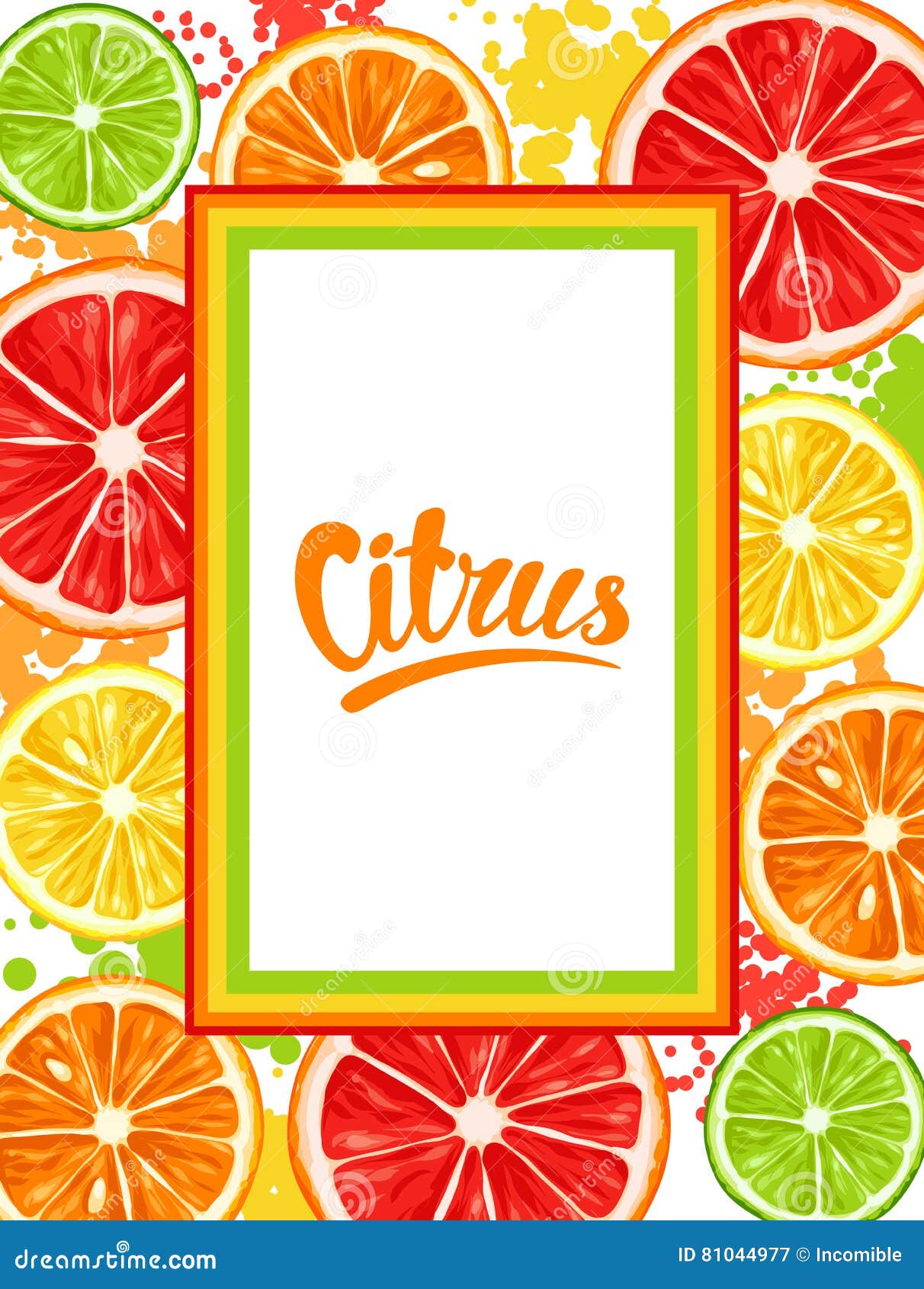 Frame with Citrus Fruits Slices. Mix of Lemon Lime Grapefruit and ...