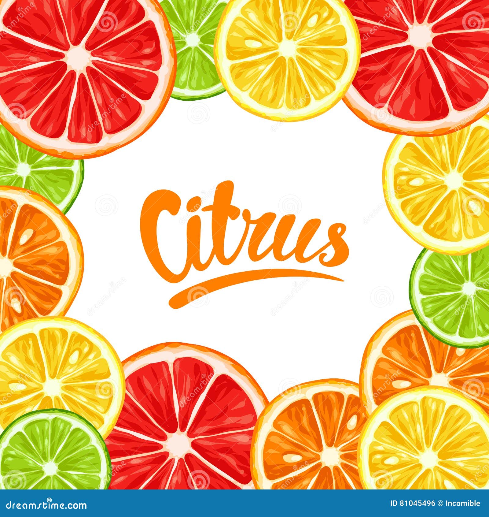 Frame with Citrus Fruits Slices. Mix of Lemon Lime Grapefruit and ...