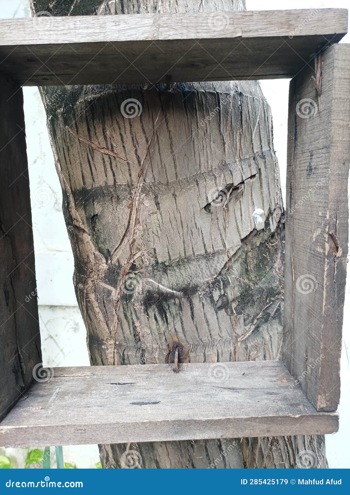 Frame on a Coconut Tree Made of Wood Stock Image - Image of tree, wood ...