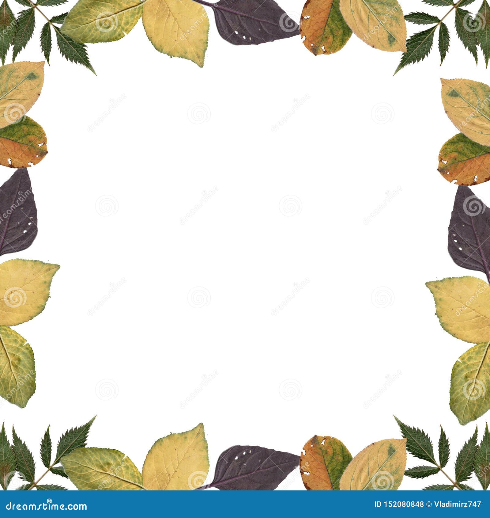 Frame of color leaves stock photo. Image of tree, desktop - 152080848
