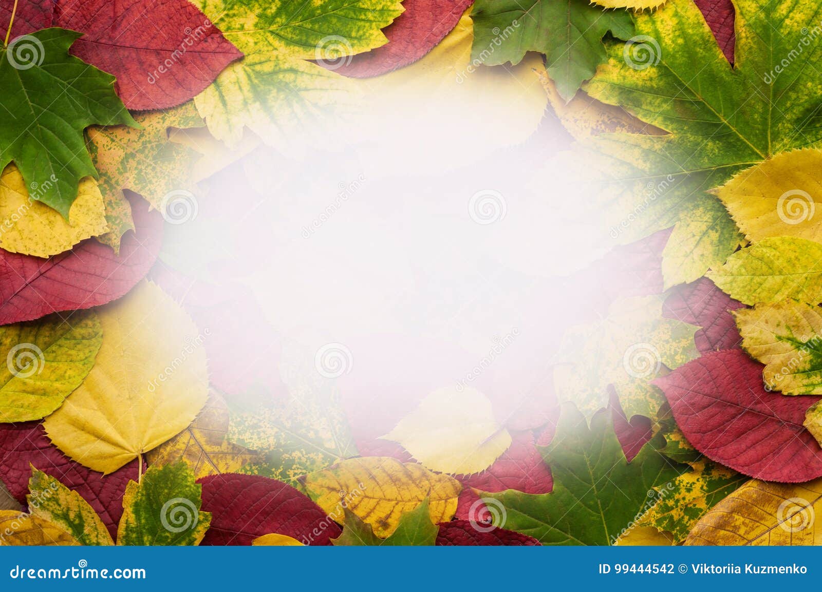 Frame of Colorful Autumn Leaves for Writing Text. Stock Photo - Image ...