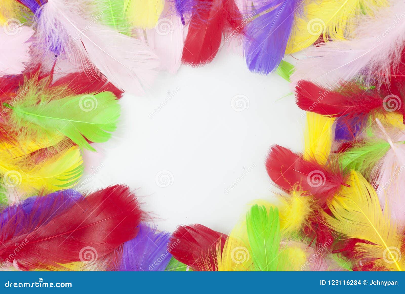 Frame of Colorful Bird Feathers Stock Photo - Image of pattern, detail ...