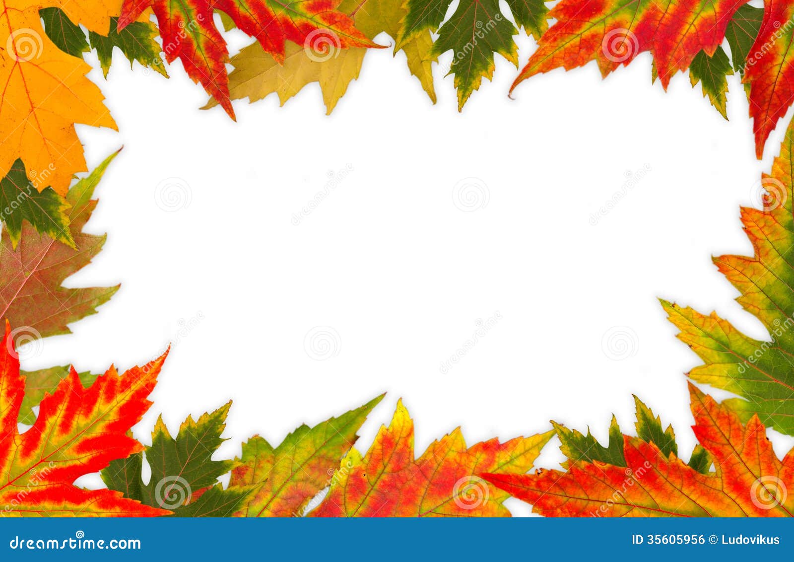 Frame of the Colorful Leaves Stock Photo - Image of autumnal, foliage ...