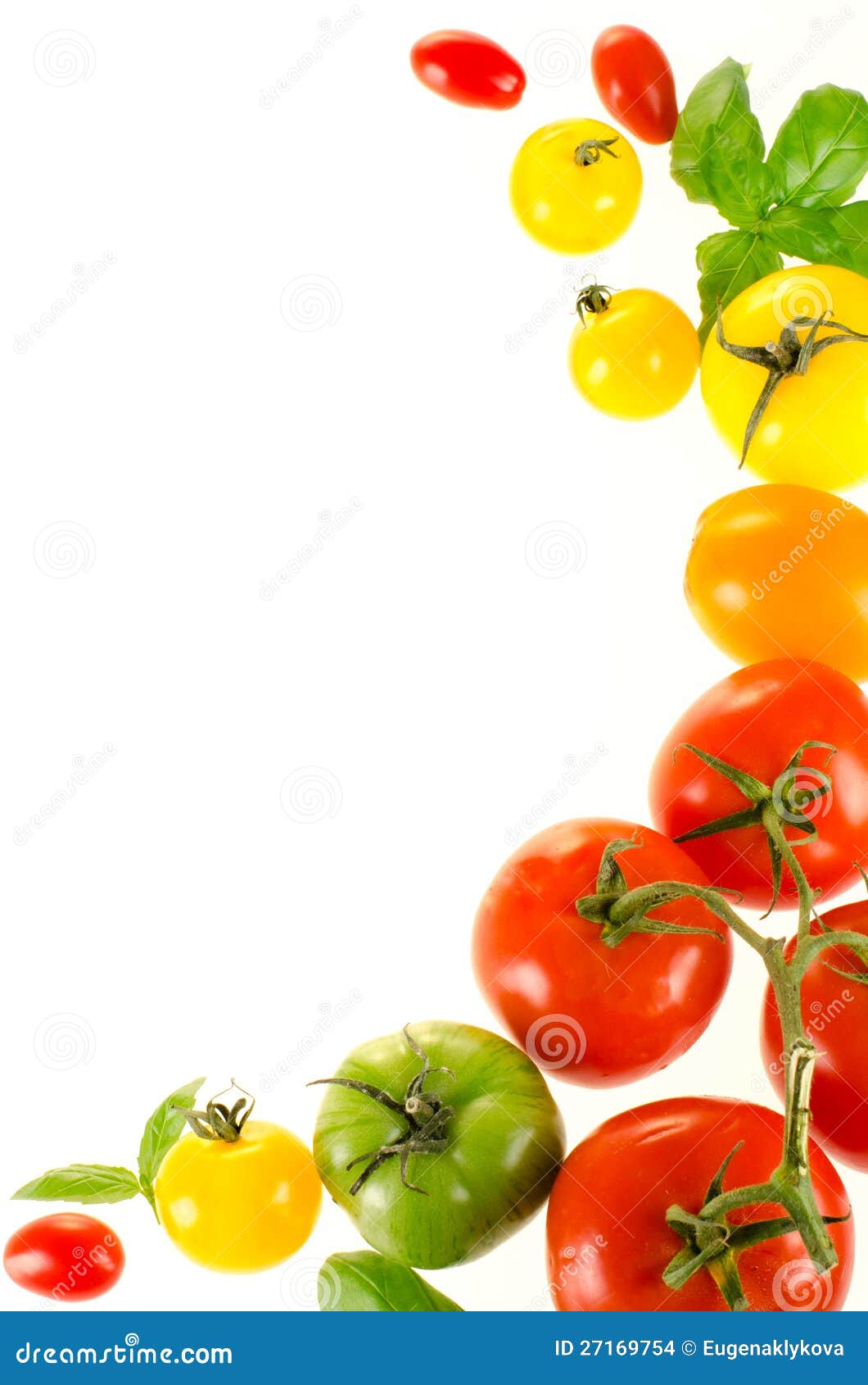 Frame of colorful tomatoes stock photo. Image of variety - 27169754