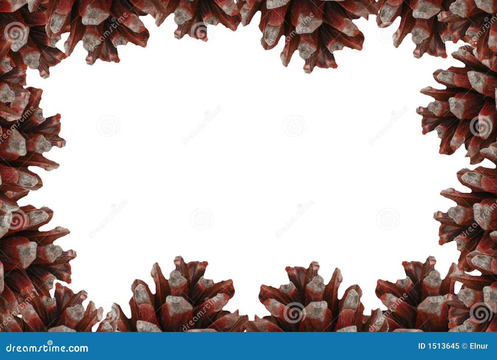 Frame with cones stock image. Image of decoration, golden - 1513645