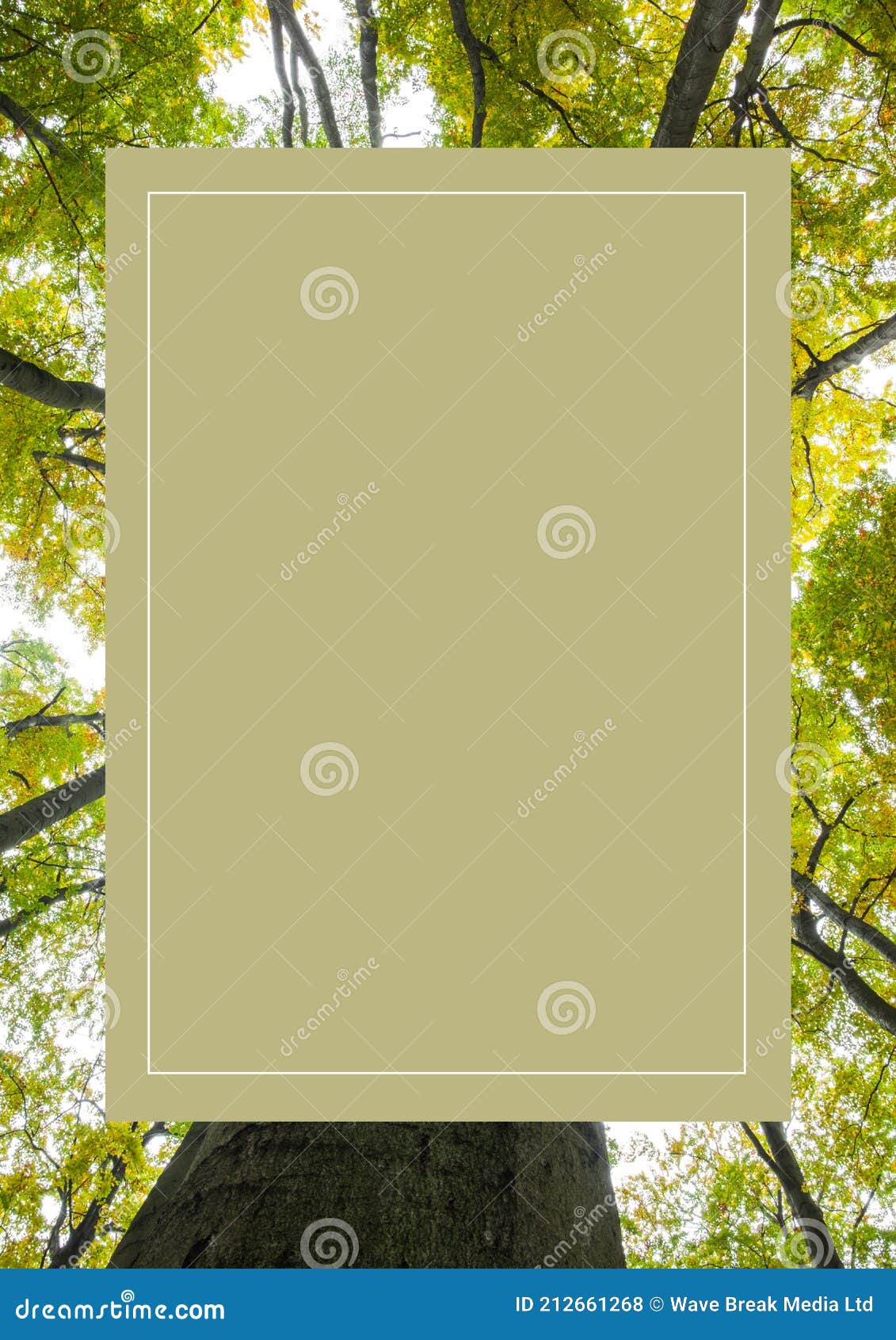 Forest Surround Stock Illustrations – 160 Forest Surround Stock ...