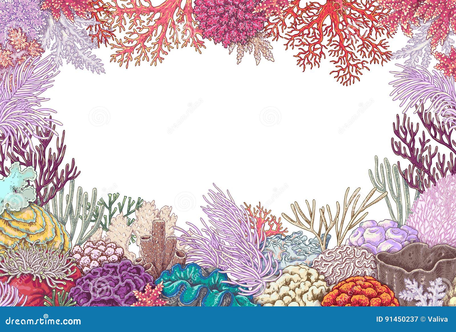 Frame of Corals stock vector. Illustration of colorful - 91450237