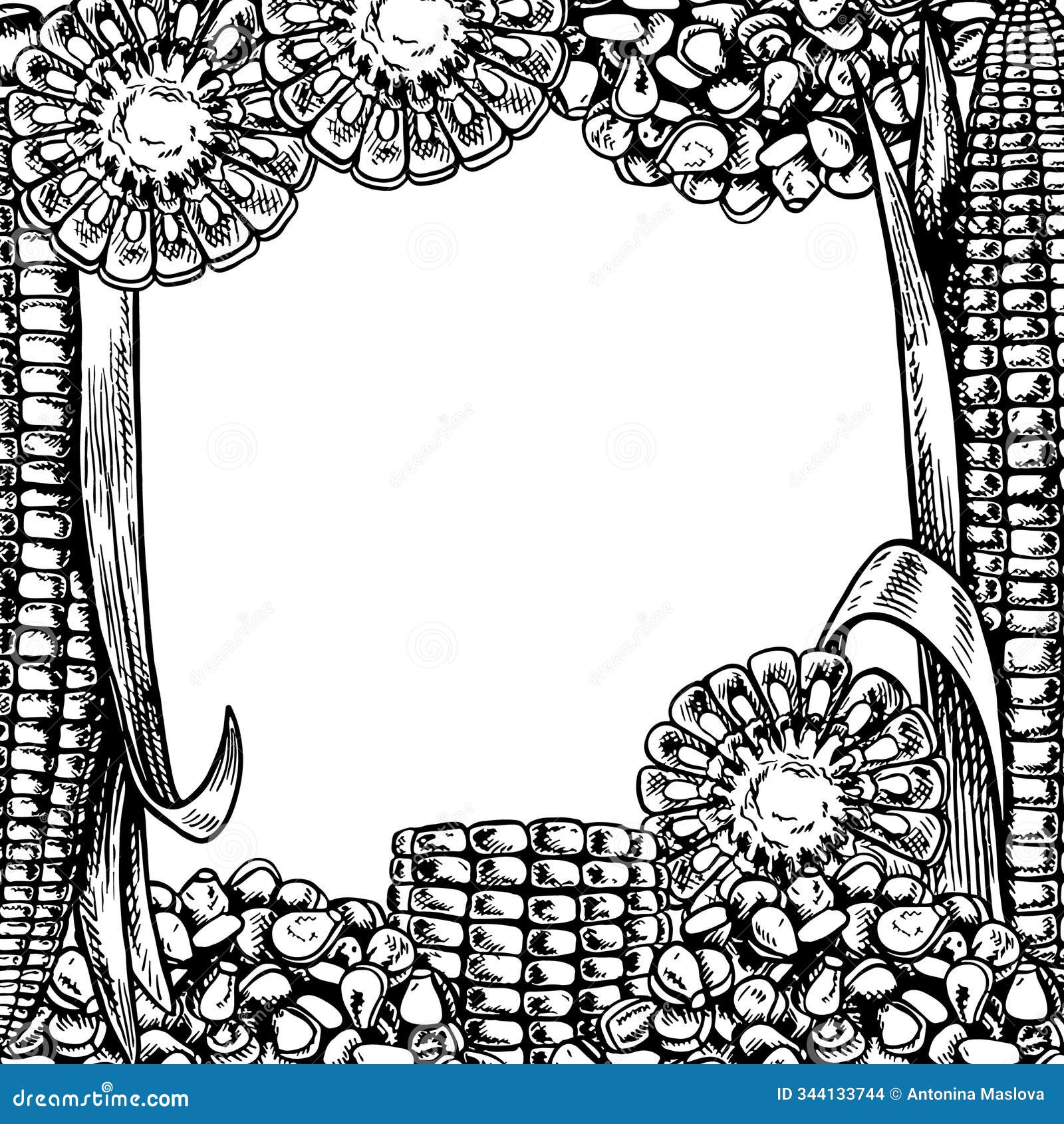 A Frame with Corn. Vector Graphics Depicting a Frame of Sliced Corn ...