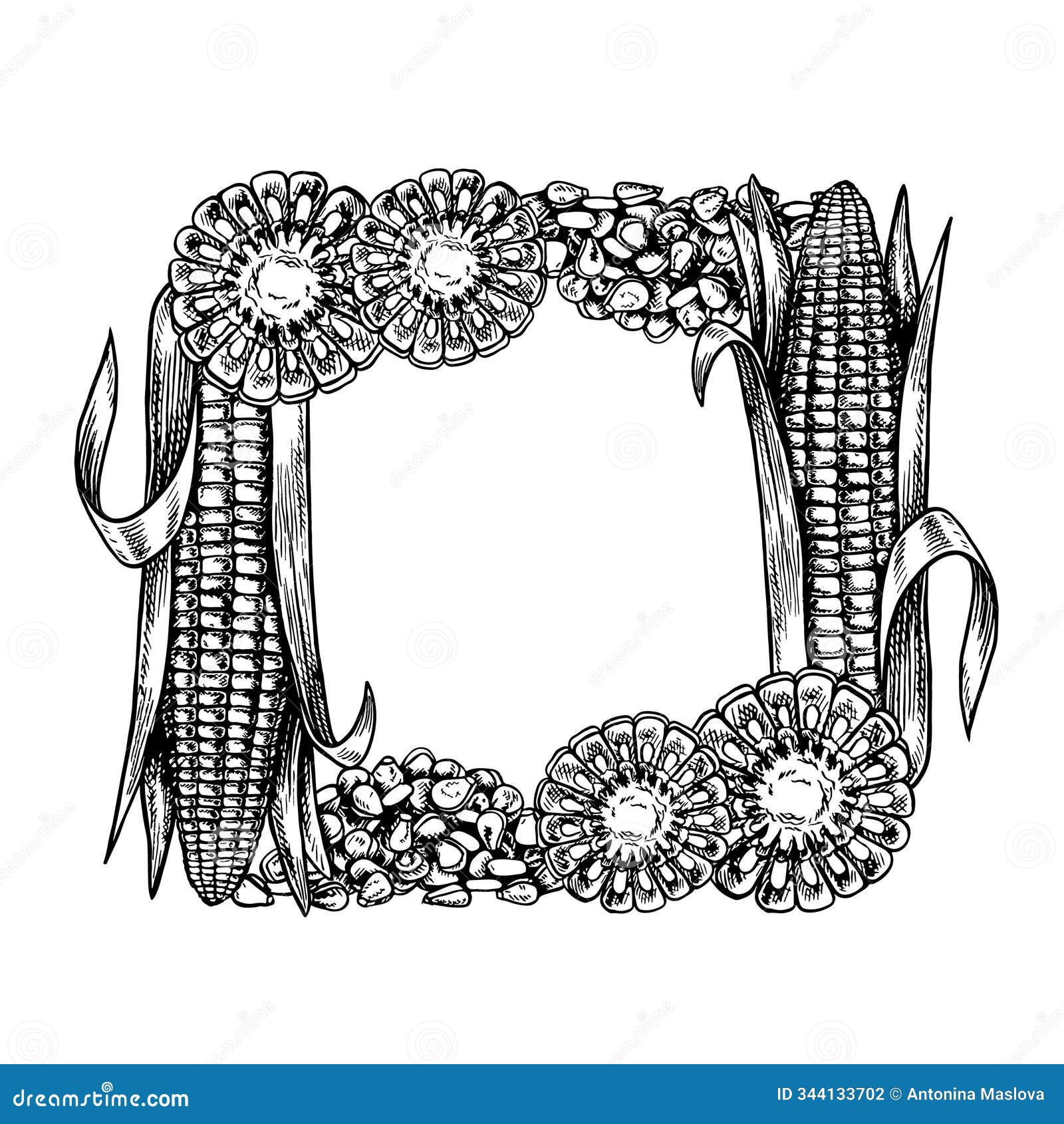 A Frame With Corn. Vector Graphics Depicting Sliced Corn Cobs And A ...