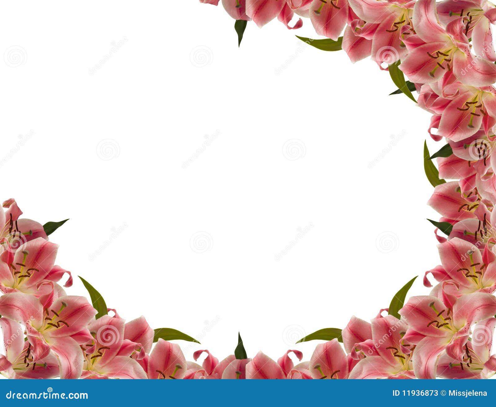 Frame da flor imagem de stock. Imagem de botânica, jardim - 11936873