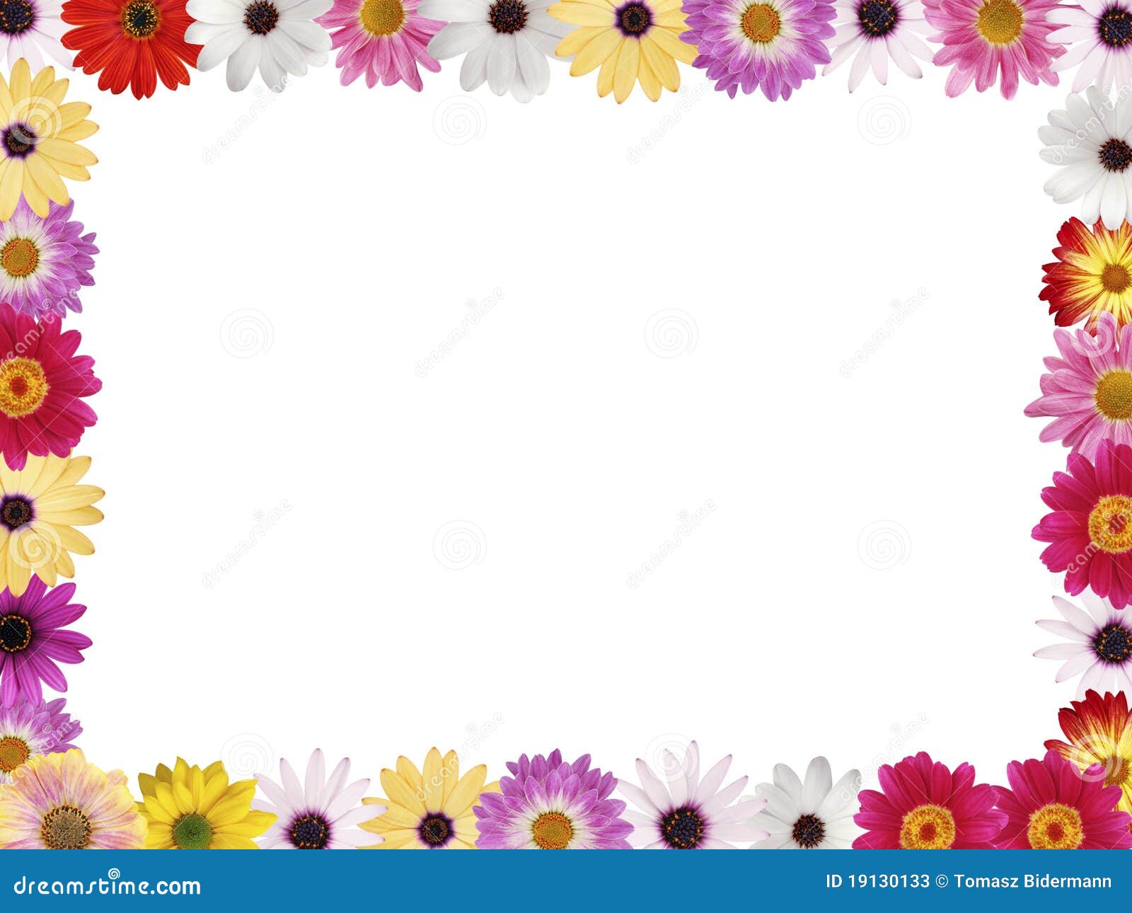 Frame da flor ilustração stock. Ilustração de flor, fundo - 19130133