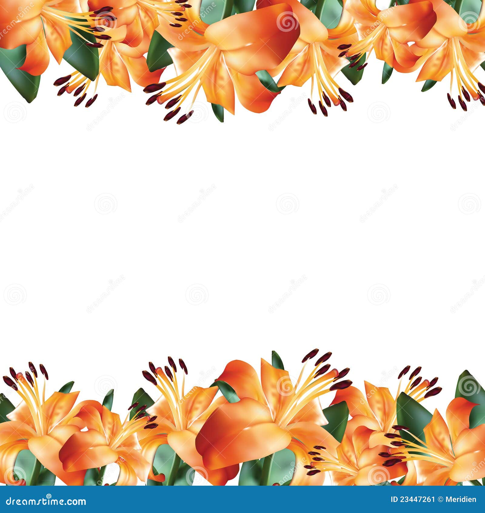 Frame da flor ilustração do vetor. Ilustração de quadro - 23447261