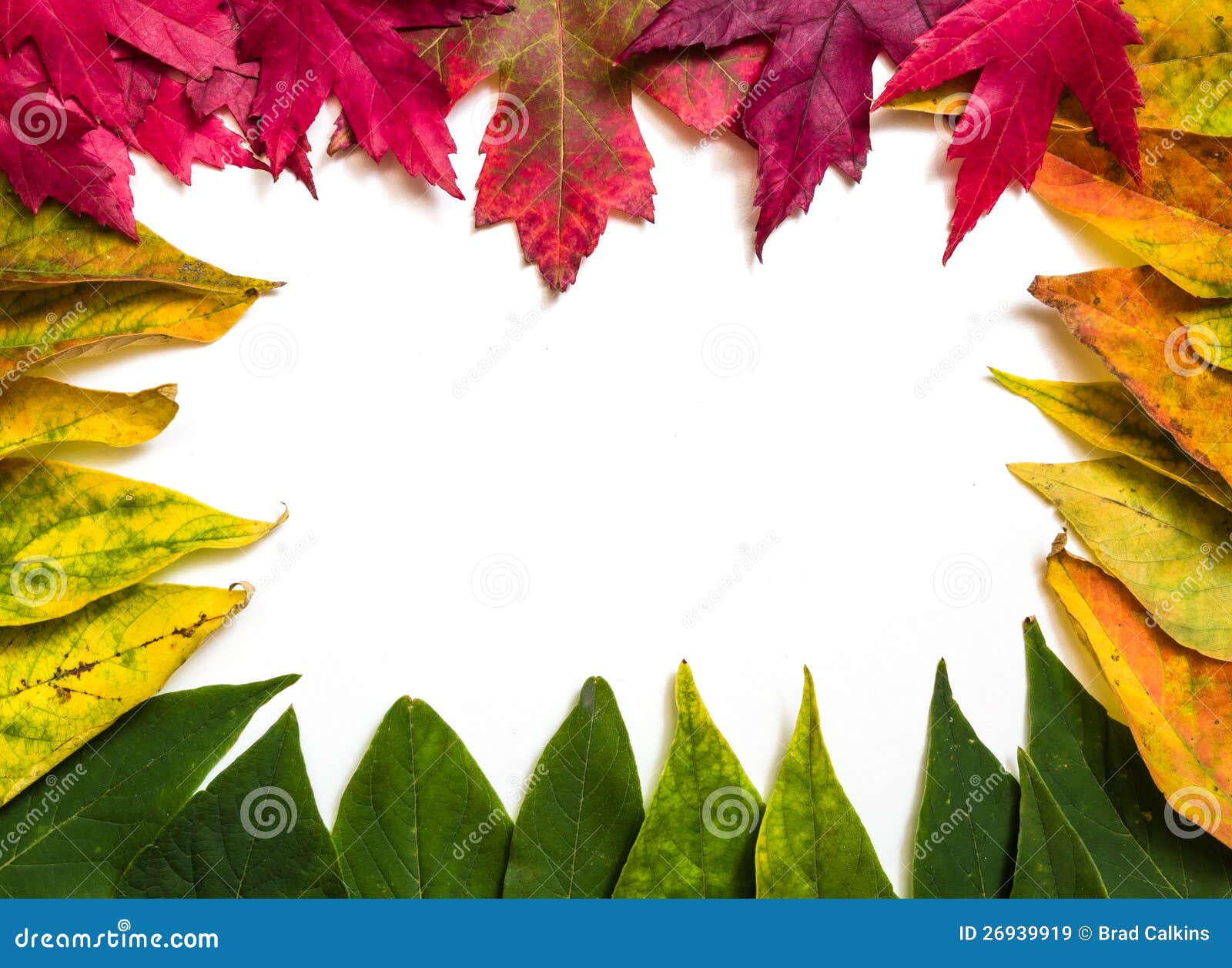 Frame da folha do outono imagem de stock. Imagem de flora - 26939919