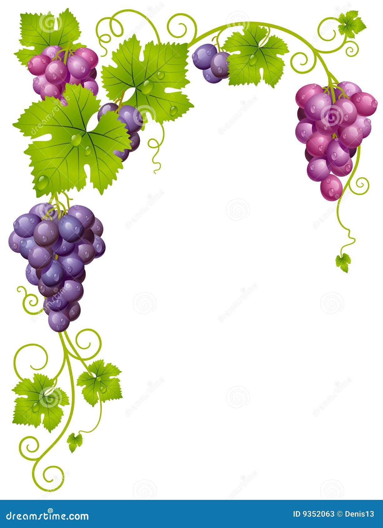 Frame da uva do vetor ilustração do vetor. Ilustração de conjunto - 9352063