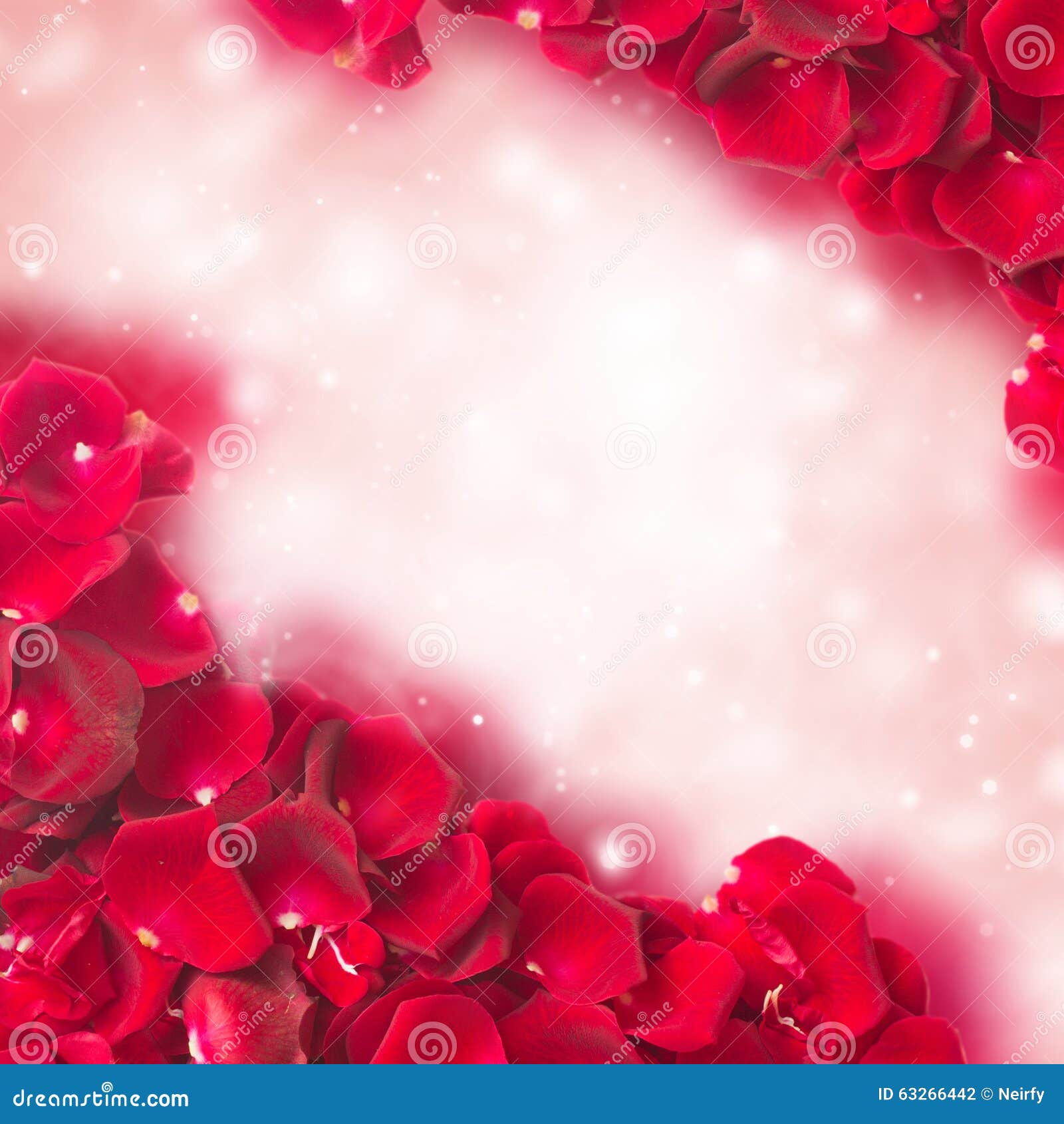 Frame of Dark Red Rose Petals Stock Photo - Image of macro, fallen ...