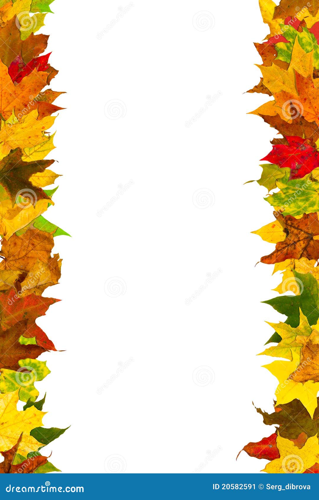 Frame das folhas de outono imagem de stock. Imagem de isolado - 20582591
