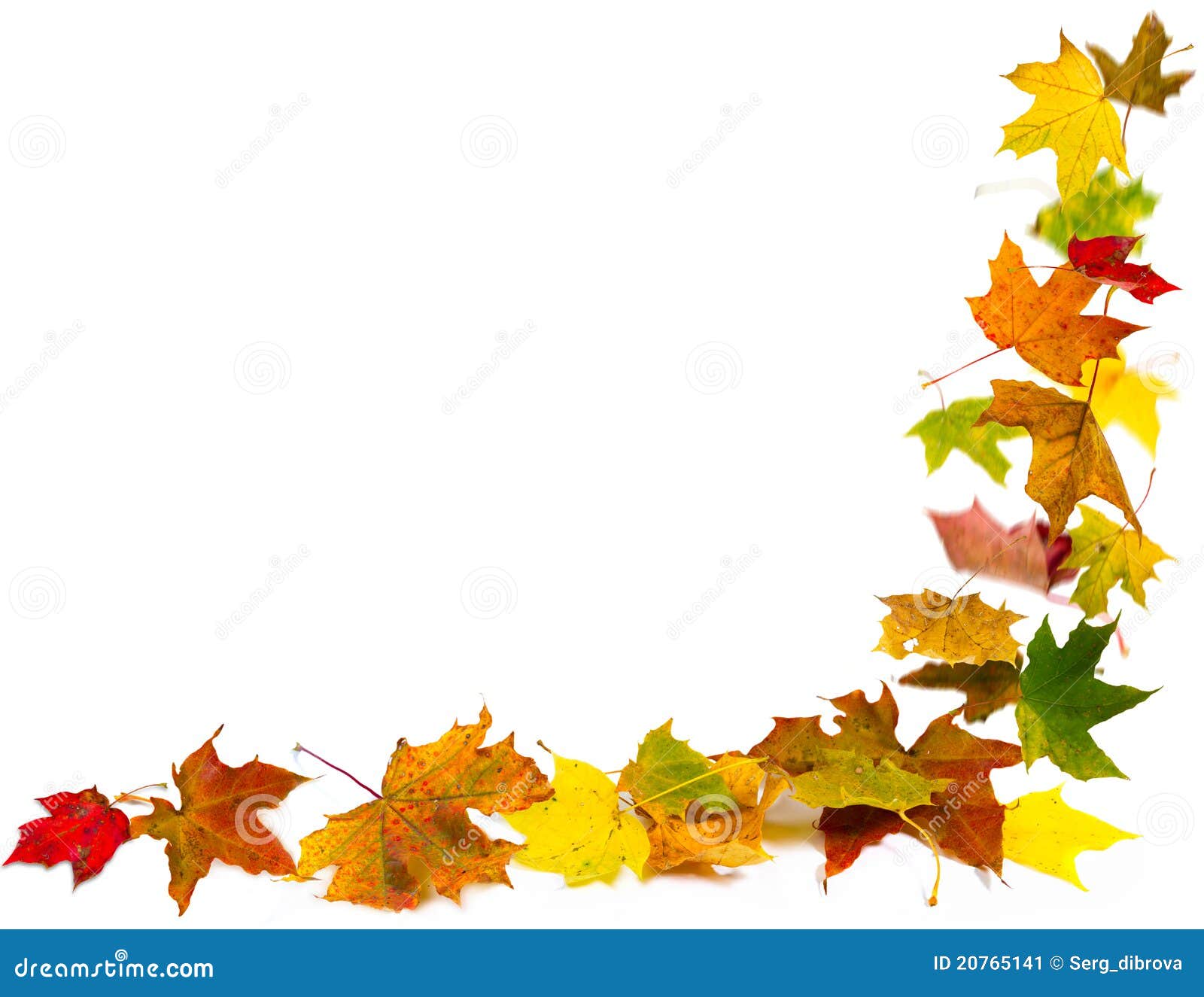 Frame das folhas de outono imagem de stock. Imagem de folhagem - 20765141