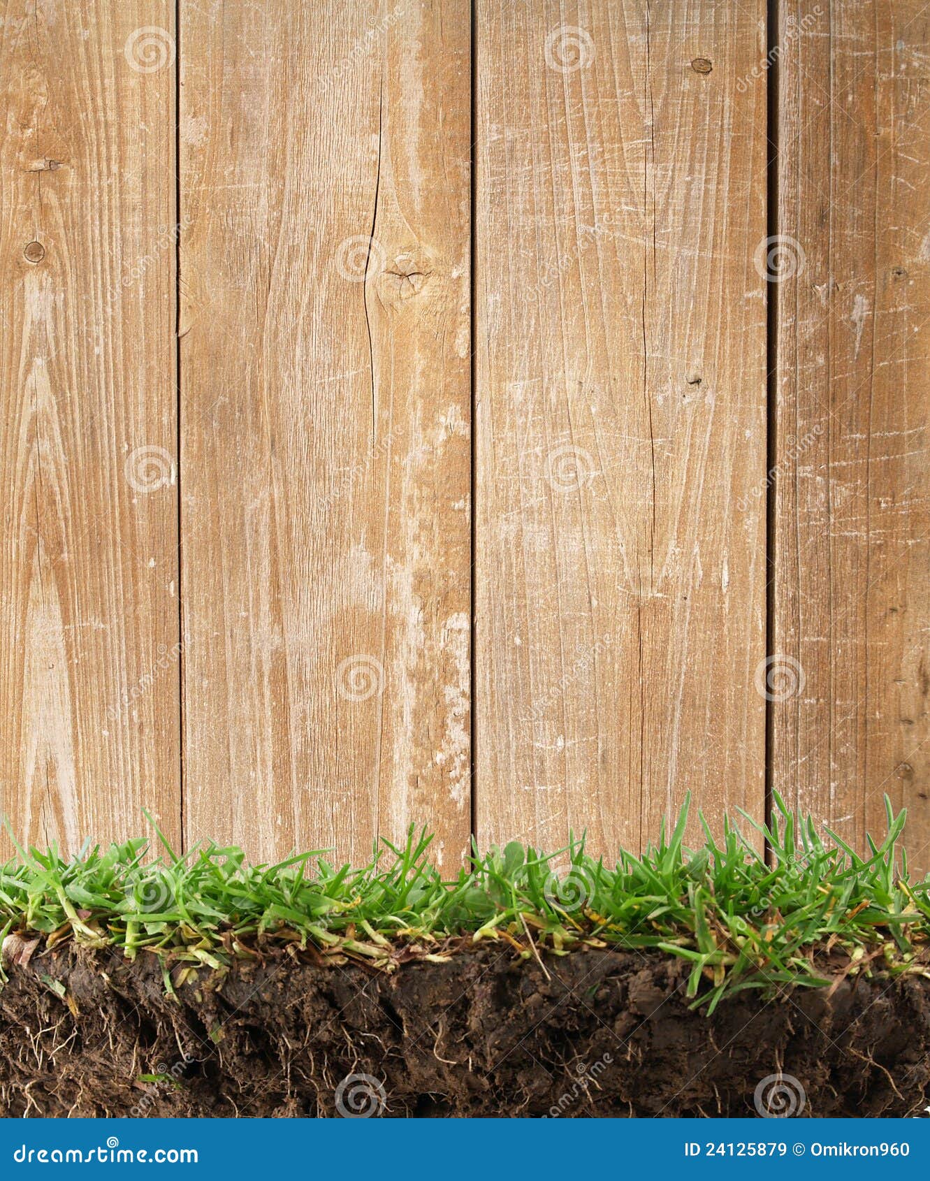 Frame de madeira na grama imagem de stock. Imagem de mola - 24125879